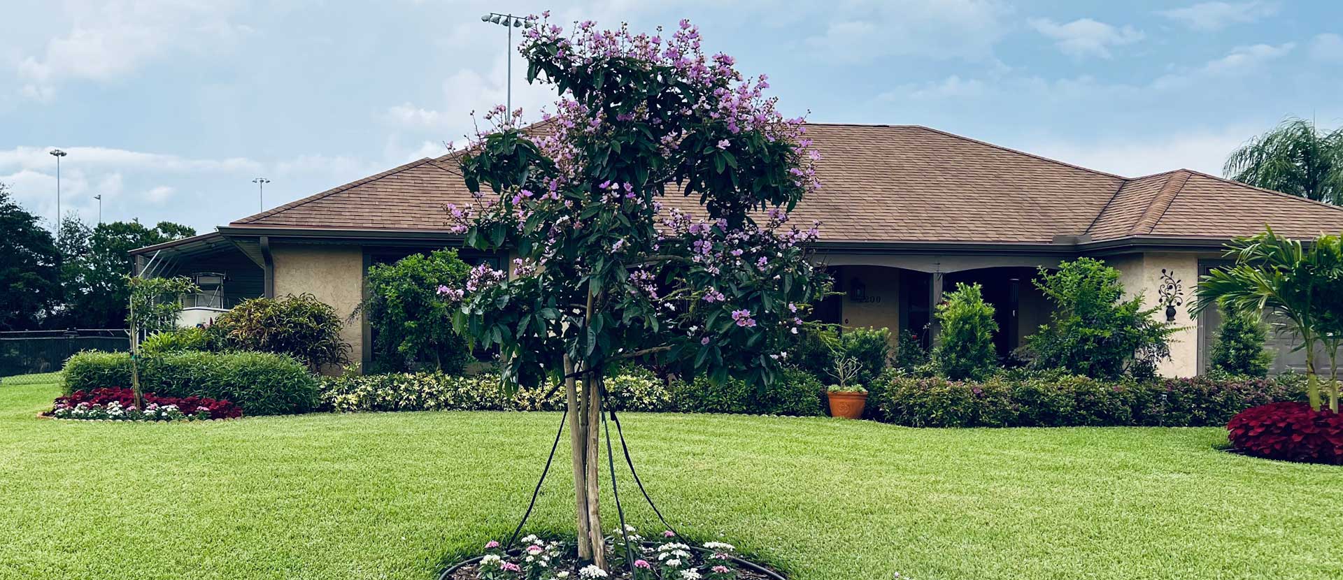 Home - Gryphon Landscape LLC